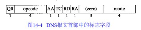dns 的报文格式 jamin zhang