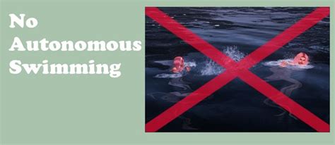 No Autonomous Swimming Request Sonozakisisters Swimming Sims 4