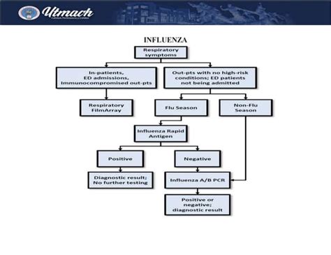 Influenza Algorithm Ppt