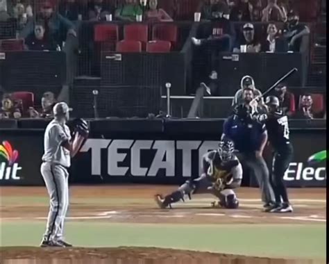 Baseball Brawl R Abruptchaos