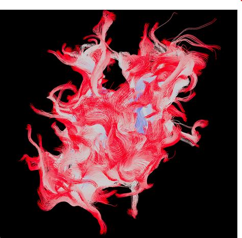 Houdini Learning Process Behance