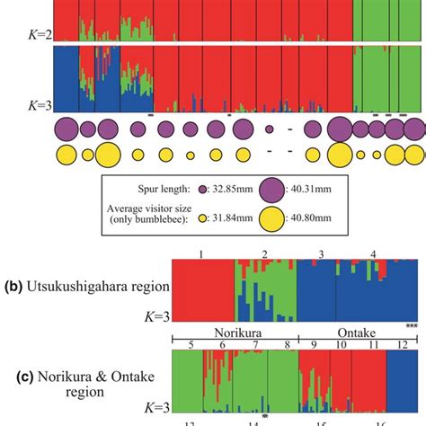 Bayesian Genetic Clustering Analysis Structure Results Based On Snps