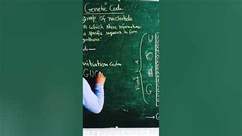 initiation codon aug codon aug genetic code genetics bio biology