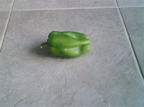 Plant Dataset3 Object Detection Dataset By Valentinos Papaiakovou