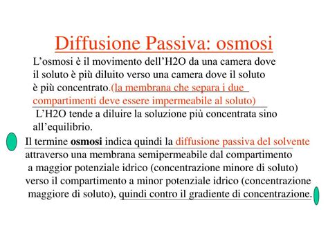 Ppt Trasporto Cellulare Powerpoint Presentation Free Download Id