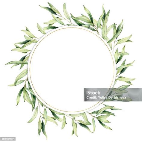 수채화 올리브 잎 화환 손으로 그린 꽃 원 테두리 올리브 나무 가지와 흰색 배경에 고립 된 잎 디자인 인쇄 및 직물용 올리브 가지에 대한 스톡 벡터 아트 및 기타 이미지