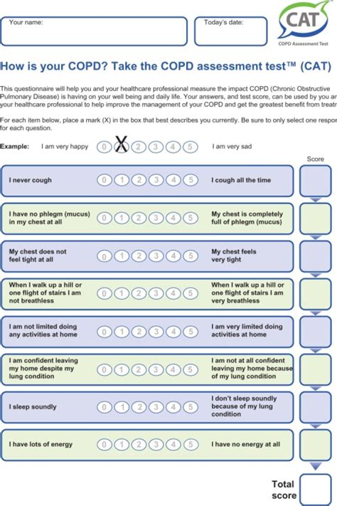 Evaluative Questions From The Copd Assessment Test Catcopd