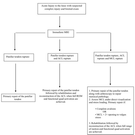 Proposed Treatment Algorithm Download Scientific Diagram