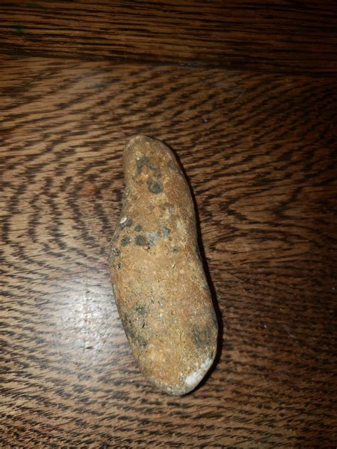 Is This A Coprolite R Fossils