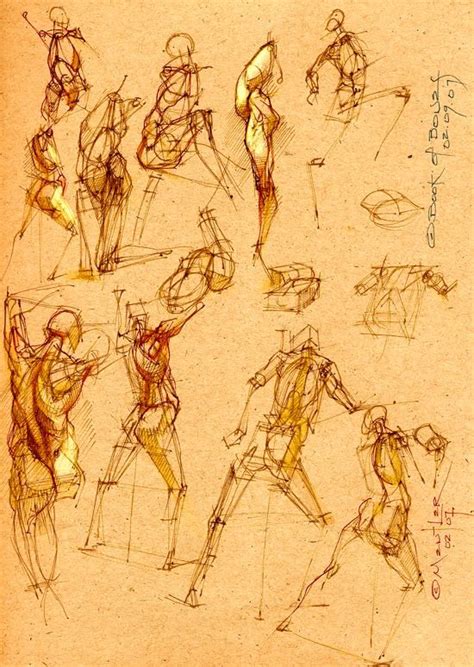 tutorial de anatomía dibujo anatomia humana anatomía artística