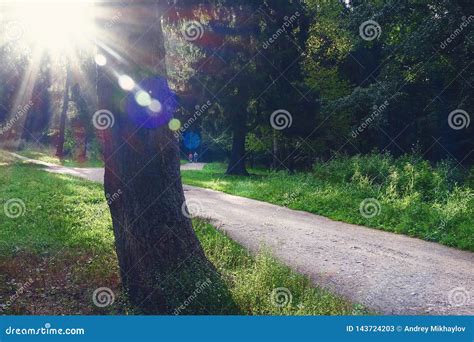 Ein Sch Ner Park Mit Einem Weg Und B Nke Stockbild Bild Von Nave Herbst