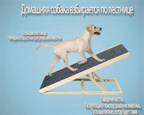 лестница для собак прикроватная,пандус для собак,Переносная складная ...