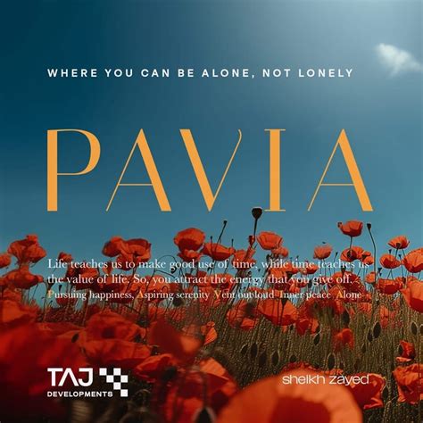 pavia el sheikh zayed by taj developments