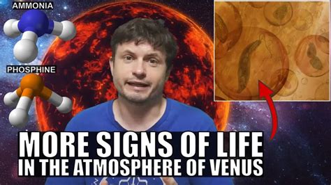 Gases Hinting At Alien Life Detected In The Atmosphere Of Venus
