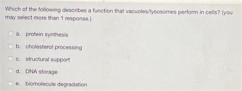 Solved Which Of The Following Describes A Function That