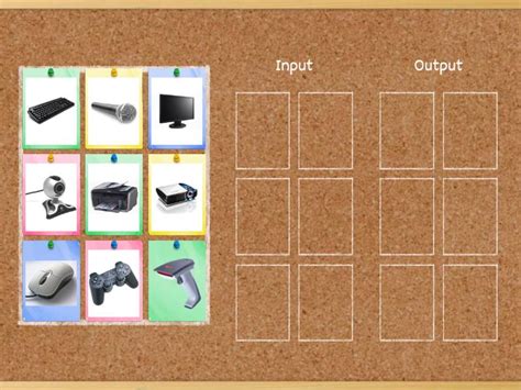 input and output devices group sort