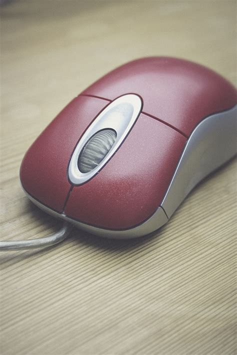 Mouse Computer Input Free Photo On Pixabay