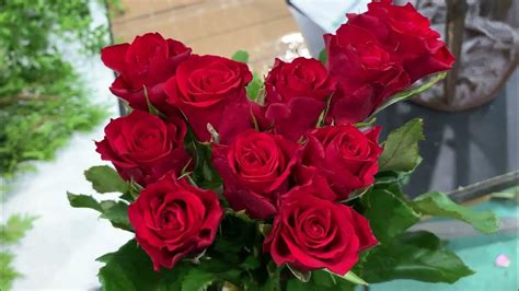 비탈 장미 생화 꽃집 꽃집창업 꽃값 온라인꽃시장 온라인꽃도매 인터넷꽃시장 인터넷꽃도매 서울꽃시장 꽃농장 꽃배송 생화배송 생화도매 생화택배 꽃배달 생화배달 생화주문 생화부케