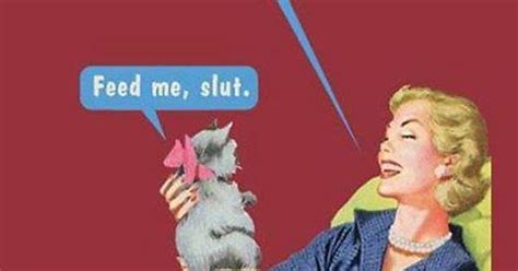 Kittehs Dont Give A Fuuuuuuuuuuu Imgur