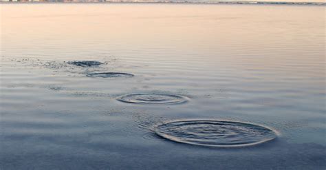 Skip Level Meetings Bringing Leaders And Employees Together