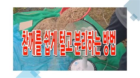 참께를 쉽게 털고 분리하는 방법참께재배참깨털기참기름 Youtube