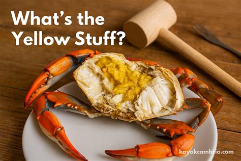 Whats The Yellow Stuff Inside A Crab Complete Guide 2025