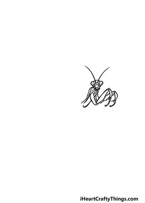 Insect Drawing How To Draw An Insect Step By Step