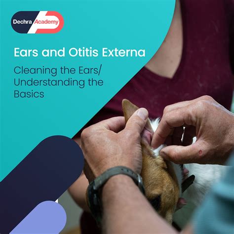 Dechra Us On Linkedin Regular Ear Cleaning And Flushing Are An Important Part Of Otitis Externa…