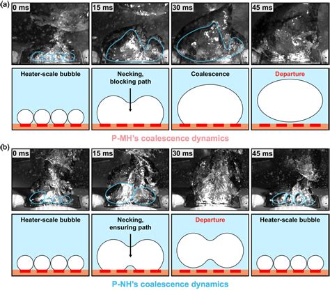 Micro‐nanohierarchical Surfaces For Enhanced Pool Boiling In Large‐area Silicon Multichips
