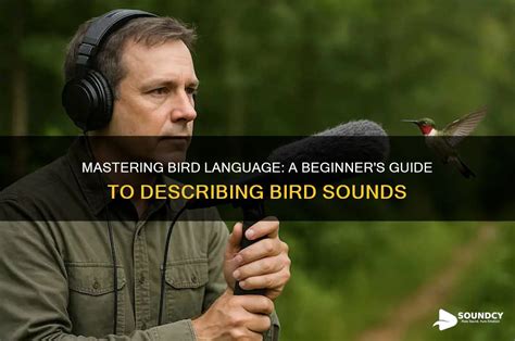 Mastering Bird Language A Beginners Guide To Describing Bird Sounds