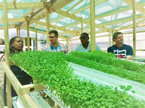 Mg 52 Commercial Microgreens System Nft Hydro Hydroponic Grower