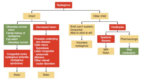 Nystagmus Term Paper Example