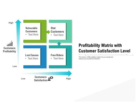 Profitability Matrix With Customer Satisfaction Level Presentation Graphics Presentation