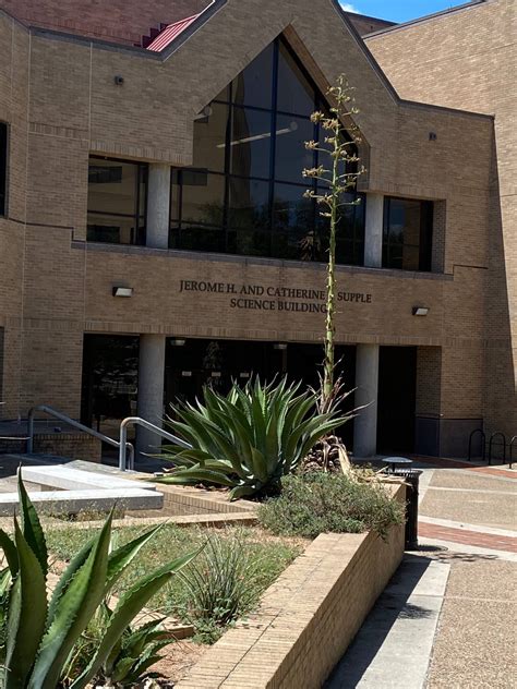 Departments And Schools College Of Science And Engineering Cose Texas State University