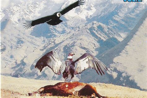 Documentalandia Va El Condor Pasa