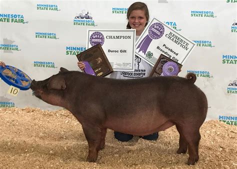 2017 Hog Champions Sure Champ