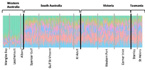 Faststructure Plot Showing Population Structure For S Punctatus Across