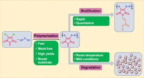 巯基 二溴马来酰亚胺聚合：一种易于降解和改性的聚硫醚合成的简单策略 Macromolecules X Mol