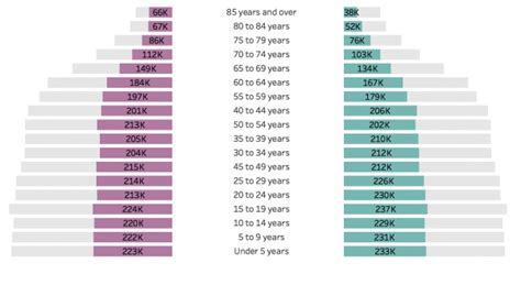 How To Visualize Age Sex Patterns With Population Pyramids In Tableau Depict Data Studio