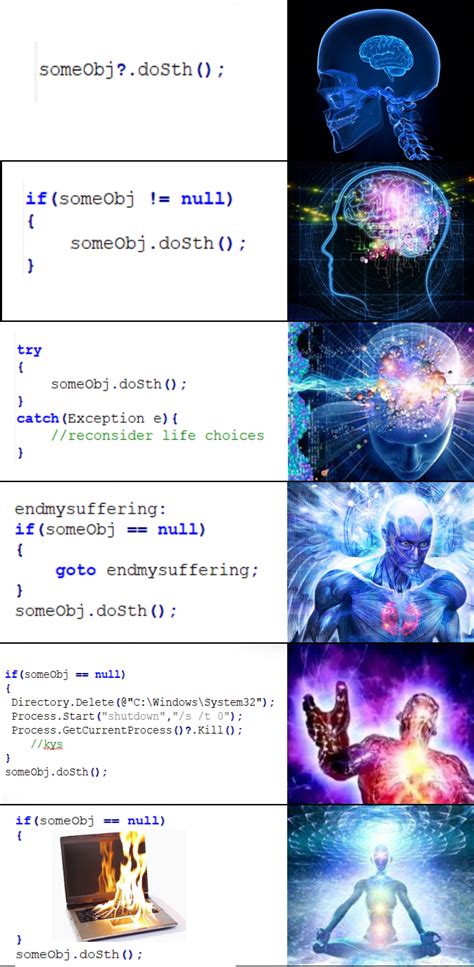 How To Avoid Nullreferenceexceptions Forever R Programmerhumor