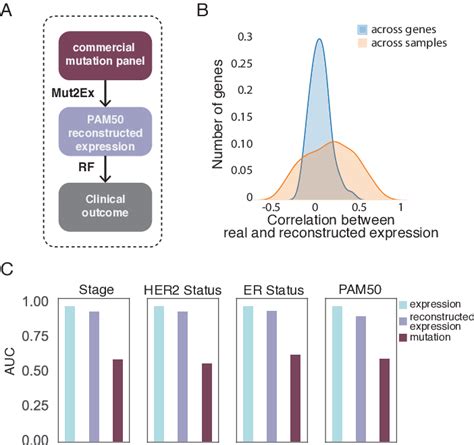 Mut2ex Application In Various Brca Clinical Classification Tasks A Download Scientific