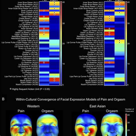 Distinctiveness Of The Facial Expression Models Of Pain And Orgasm In Download Scientific