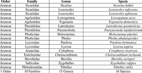 Taxonomic Classification Of Spider Fauna Of Mitha Khel And Its Download Scientific Diagram