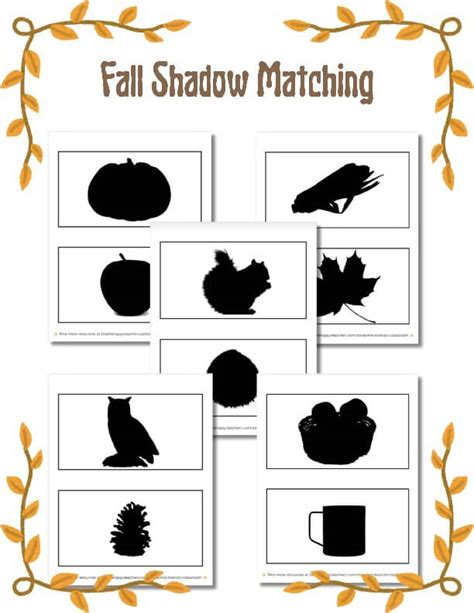 Fall Shadow Matching Autumn Visual Discrimination Activity Tpt