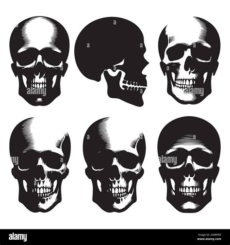 Silhouette Set Of Skull Head Vector Isolated Illustration Stock Vector