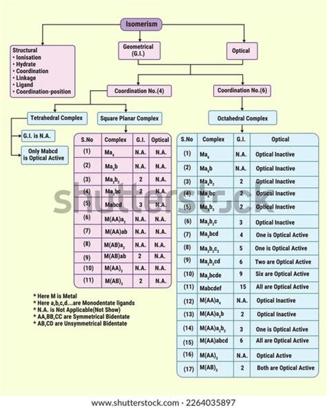 Mind Map Flow Chart Isomerism Stock Vector Royalty Free 2264035897
