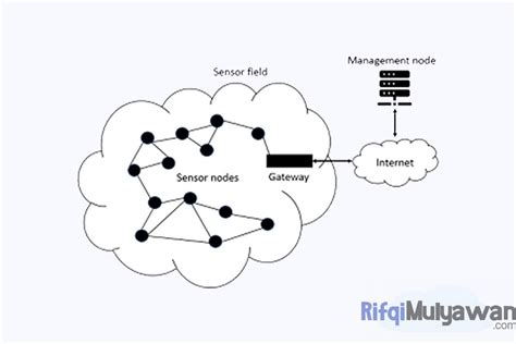 Sensor Networks Adalah Pengertian Fungsi Jenis Contohnya