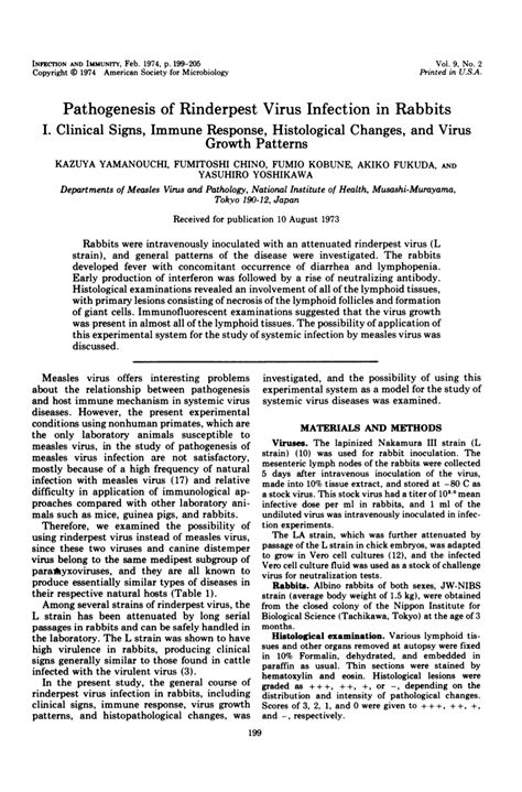 Pdf Pathogenesis Of Rinderpest Virus Infection In Rabbits I Clinical