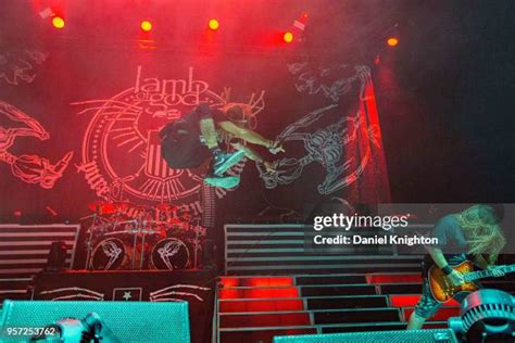 Daniel Lamb Photos And Premium High Res Pictures Getty Images