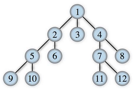 tree diameter — why does two bfs solution work by tarek badr medium